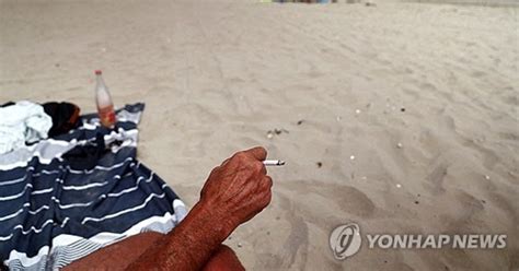 프랑스 공원·해변·학교 주변 흡연금지과태료 21만원