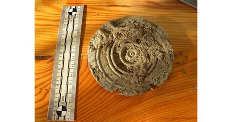 Иманяри копаят с трактор край Кошава за антични монети