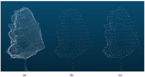 Point Cloud Downsampling Methods And Python Implementations By