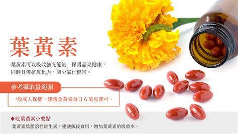 葉黃素