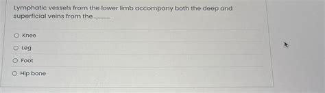 Solved Lymphatic Vessels From The Lower Limb Accompany Both