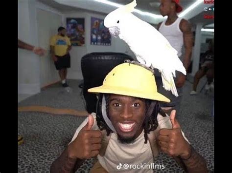 How To Get A Custom Mouse Pointer YouTube