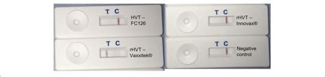 Vaxxitek ® Specific Lamp Lfd Assay Detects Vaxxitek ® But Not Download Scientific Diagram