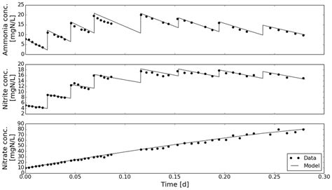 Model Output And Data Points After Python Fitting Procedure Download Scientific Diagram