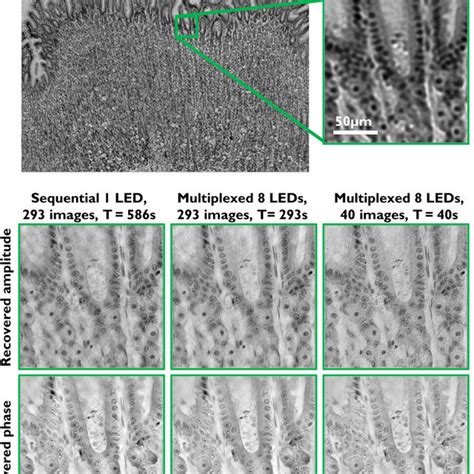 Computational Illumination In A Commercial Microscope An Led Array Download Scientific Diagram