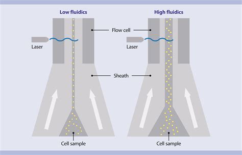 Flow Cytometry Basics Miltenyi Biotec Usa