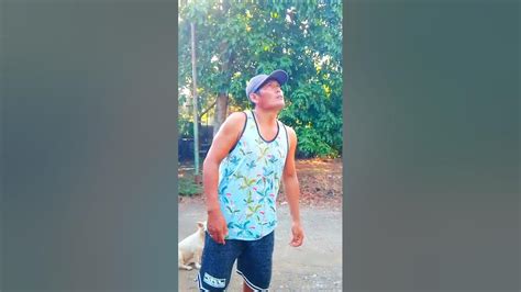 Aw Spidergoat Funnyvideos Youtube