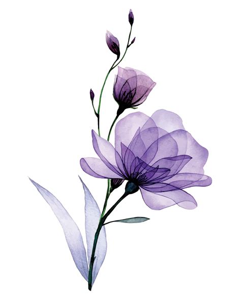 ¡descarga El Vector Libre De Regalías Composición Con Flores