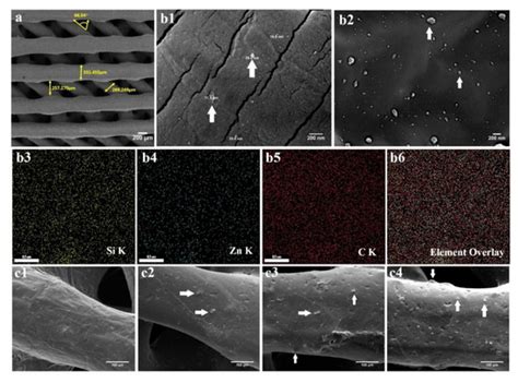 Ijms Free Full Text Regeneration Of Bone Defects In A Rabbit Femoral Osteonecrosis Model
