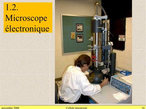 Ppt La Cellule BactÉrienne Ou Procaryote Powerpoint Presentation Free Download Id 3309878