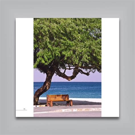 کتاب کیش، نگاهی دیگر اثر و ترجمه رضا جمشیدی نشر یساولی