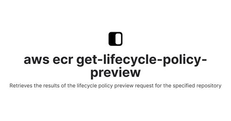 Aws Ecr Get Lifecycle Policy Preview Fig