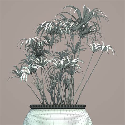 파피루스 3d 모델 9 Fbx Obj Max Unknown Free3d