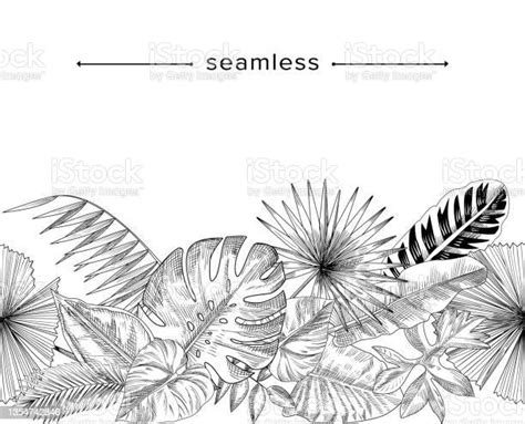 열대 잎과 가지 원활한 패턴 낙서 배경 열대우림 장식 구성 손으로 그린 테두리 잎에 대한 스톡 벡터 아트 및 기타 이미지 잎 몬스테라속 그리기 Istock