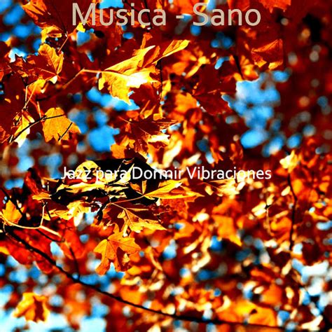 Primavera Melodiosa Youtube Music