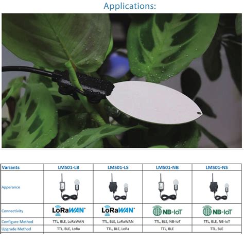 Lms01 Ls Solar Powered Lorawan Leaf Moisture Sensor For Iot Of Agriculture