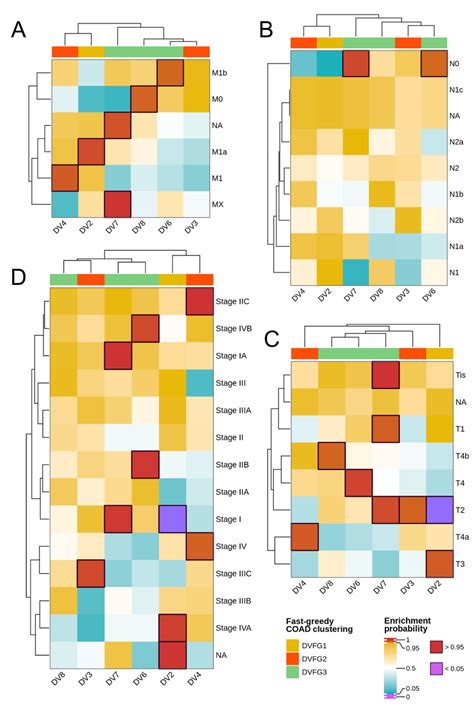 Enrichment Of Disease Severity Variables In Dv Subgroups Heatmaps