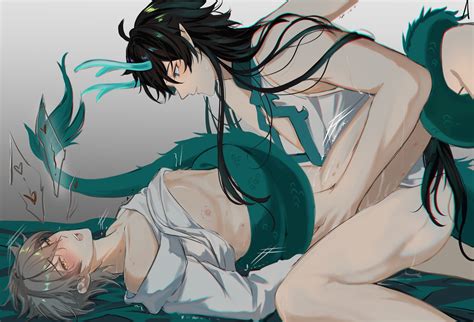 Fennec Artsss Caelus Honkai Star Rail Dan Heng Honkai Star Rail
