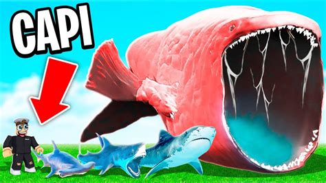 Video Size Comparison Of The Bloop In Roblox Try Not To Cum Challenge Videos Celebrities