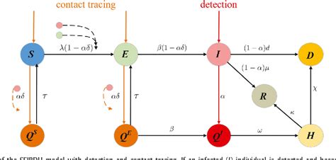 Figure 2 From Impacts Of Detection And Contact Tracing On The Epidemic
