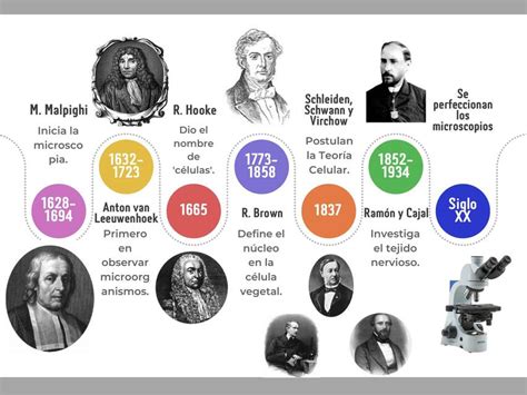 Historia De La Teoría Celular Daniela Udocz