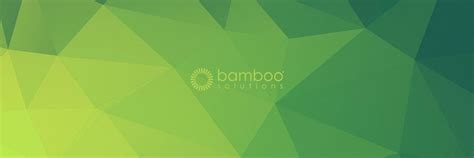Bamboo Solutions Linkedin
