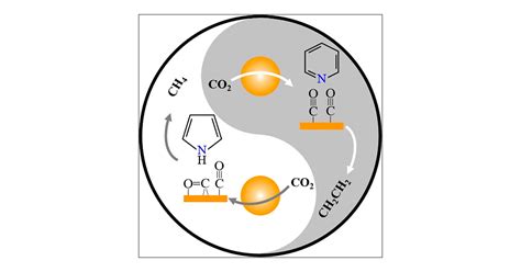 Nxc Induced Switching Of Methane And Ethylene Products Selectivity From Co2 Electroreduction