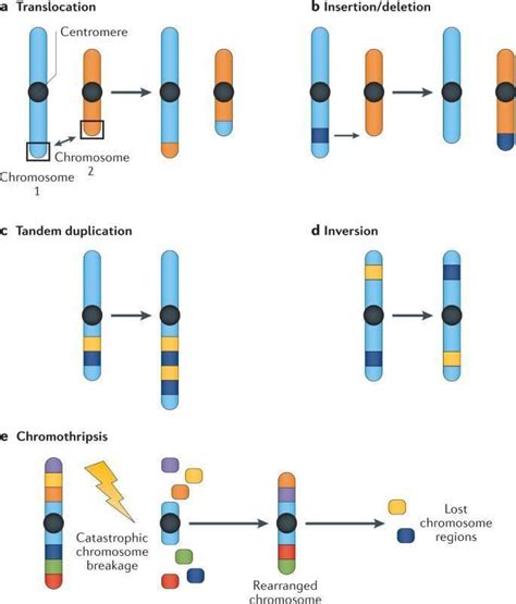 Yang H On Linkedin Detecting Fusion Transcripts By Rna Sequencing In Screening Tumors