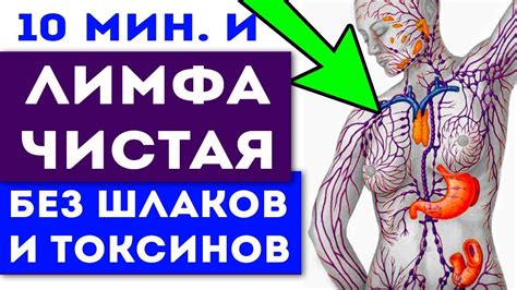 ЧИСТАЯ ЛИМФА ЗА 10 мин! Лимфодренажный массаж. Чистка организма от ...
