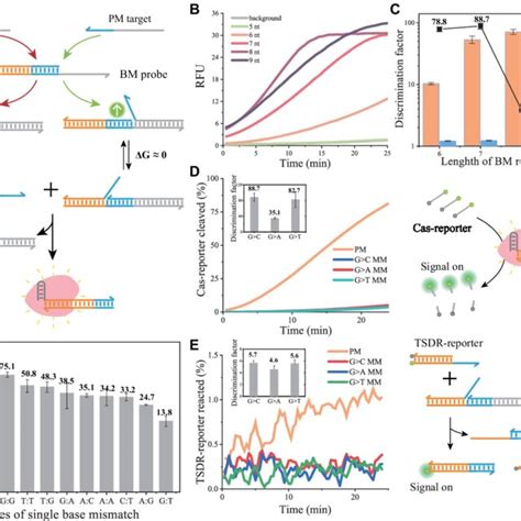 The Performance Of Bm Toa A Working Principle Of The Bm Toa System