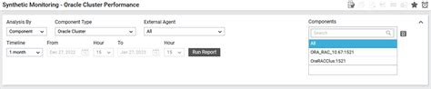 Synthetic Monitoring Oracle Cluster Performance Report