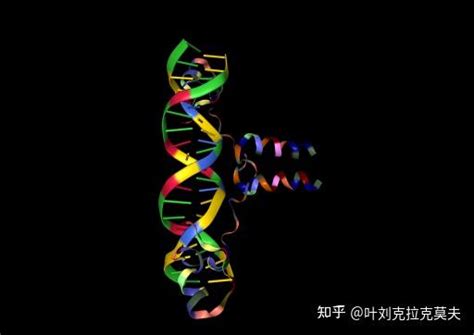科学可视化软件介绍49 分子可视化软件ngl Viewer 知乎
