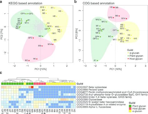 Metabolic Guilds Cluster Together Based On Broad Kegg And Cog Orthology Download Scientific