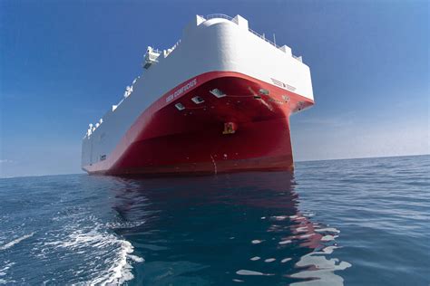 Shipping Line Bison Grid