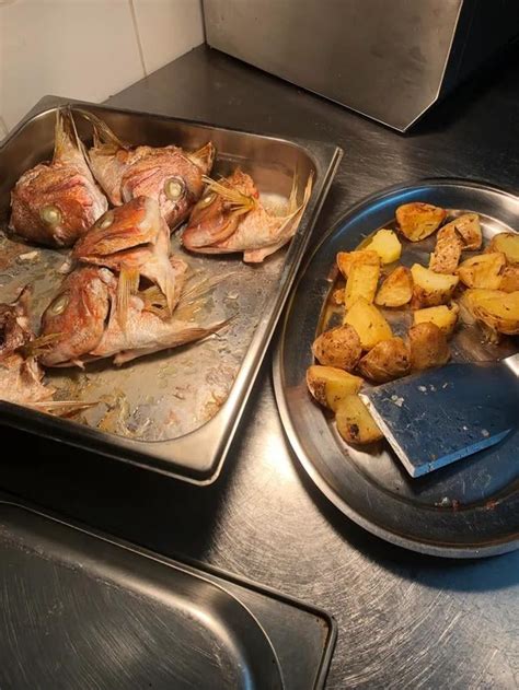 Κοιταξτε τι φαγητο δινω στη γατα μου εδω στην Ολλανδια R Greececirclejerk