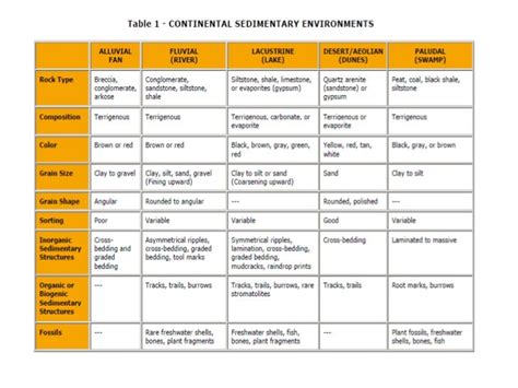 Sedimentary Depositional Environments
