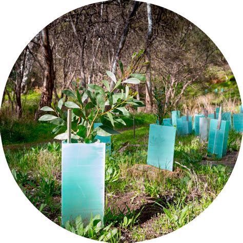 Environment Gpt Sustainability Report Microsite