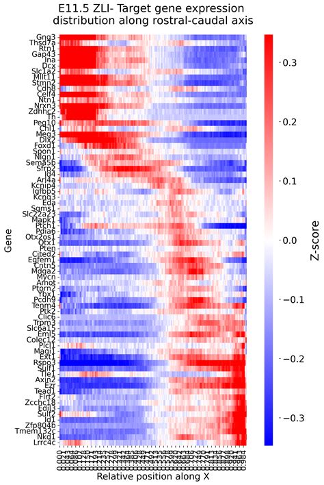 Fitting And Interpreting Cell Cell Interaction Effect Models Spateo