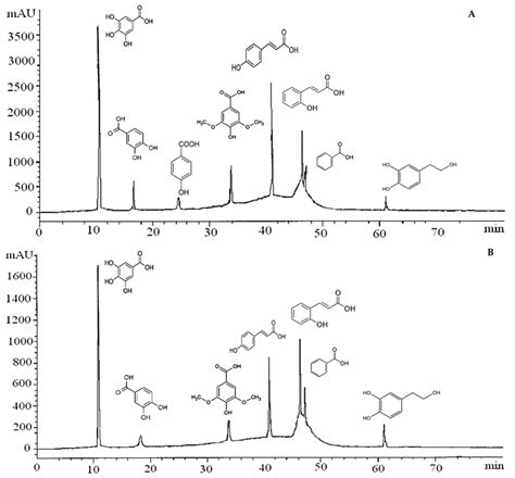 Molecules Free Full Text Evaluation Of Different Extraction Methods