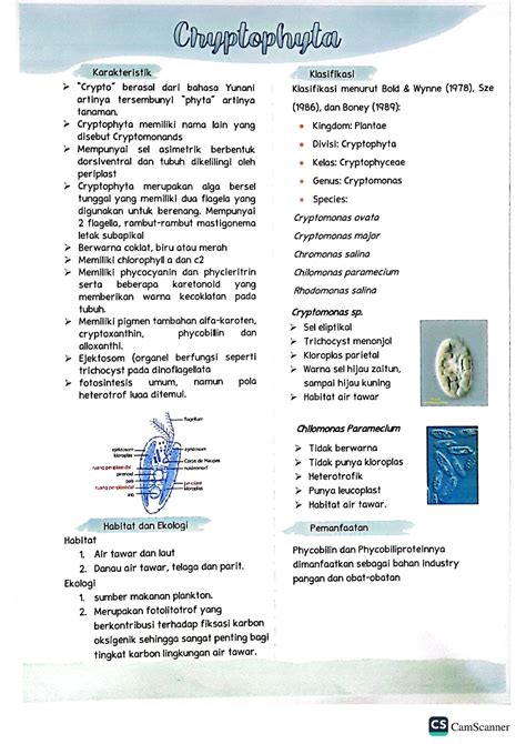 Cryptophyta Algae Botani Camscanner Camscanner Studocu