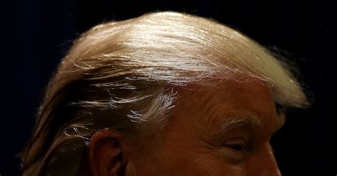 Notti Notturne Un Uomo E Il Suo Toupè Trump