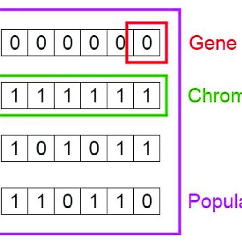 Distinction Between Population Chromosome And Gene Download Scientific Diagram