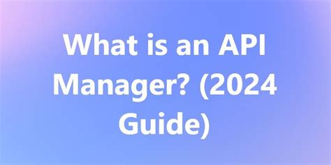 What Is An Api Manager 2024 Guide What Is An Api Manager 2024 Guide