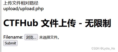 Ctfhub Web 文件上传ctf文件上传获取flag Csdn博客