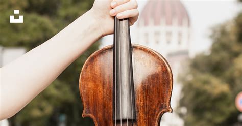 낮에 바이올린을 연주하는 사람 사진 Unsplash의 무료 헝가리 이미지
