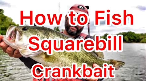 How To Fish A Squarebill Crankbait Fall Bass Fishing Youtube