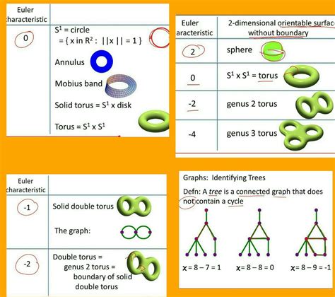 The Euler Characteristic χ Mathtuition88