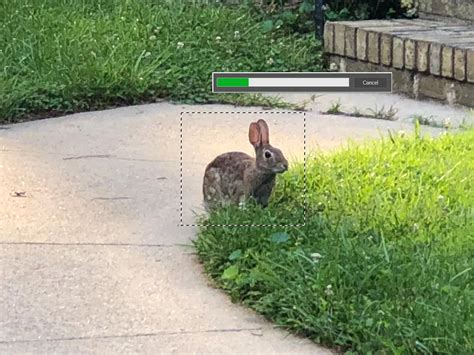 With The New Generative Fill” Ai Tool From Adobe Photoshop You Can Add Text To Images Cdn