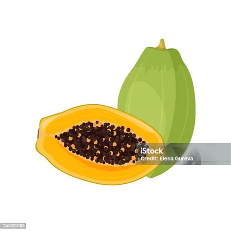 밝은 열대 과일 파파야 흰색 배경에 씨앗과 단면의 전체 와 절반 벡터 그림입니다 건강한 생활방식에 대한 스톡 벡터 아트 및 기타 이미지 건강한 생활방식 건강한 식생활