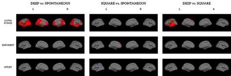 Modulations Of Periodic And Aperiodic Activity Between Different Download Scientific Diagram